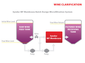 Wine Clarification